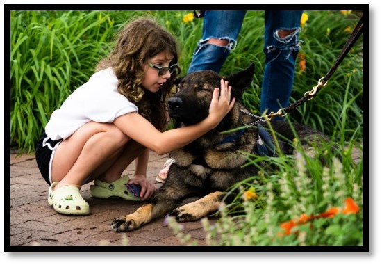 Animal Assisted Interventions- A Brief Guide - ICISF